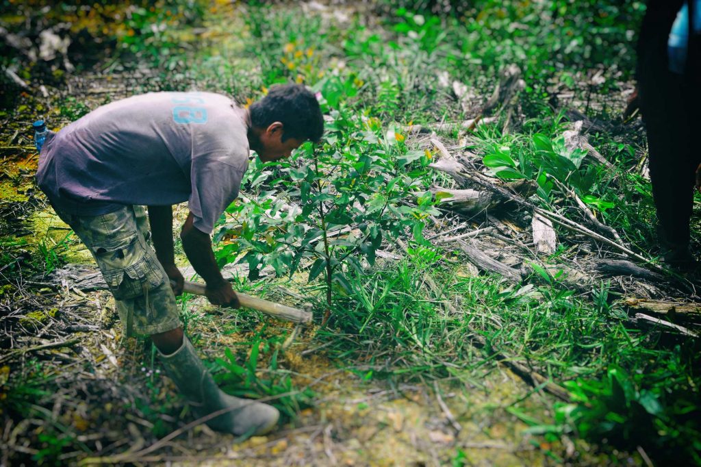 Tending | KTH | Korintiga Hutani