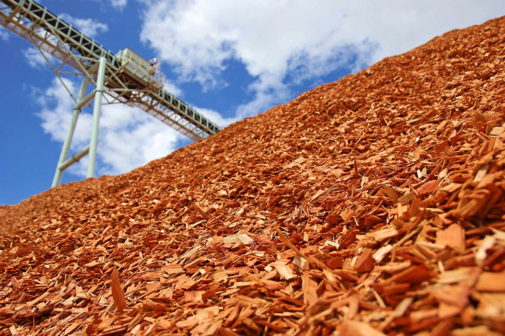 Wood Chip | KTH | Korintiga Hutani