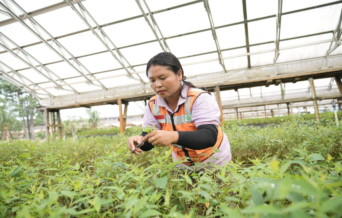 Empowering Villagers through Local Employment and Collaborative Work ...